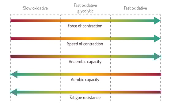 Ten most common misconceptions in PE theory teaching