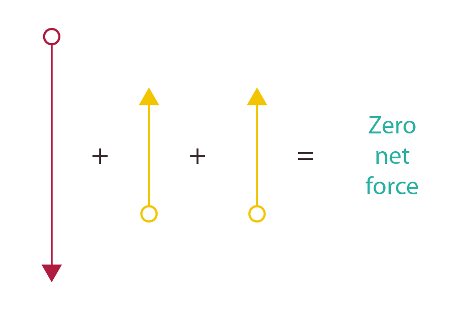 Biomechanics - Five Key Facts that Underpin Successful PE Teaching (Part 1)