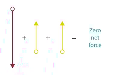 Biomechanics - Five Key Facts that Underpin Successful PE Teaching (Part 1)