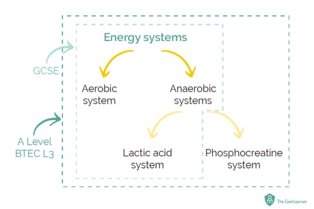 Teaching Aerobic and Anaerobic Energy at GCSE-PE Level: Common Myths and How to Correct Them