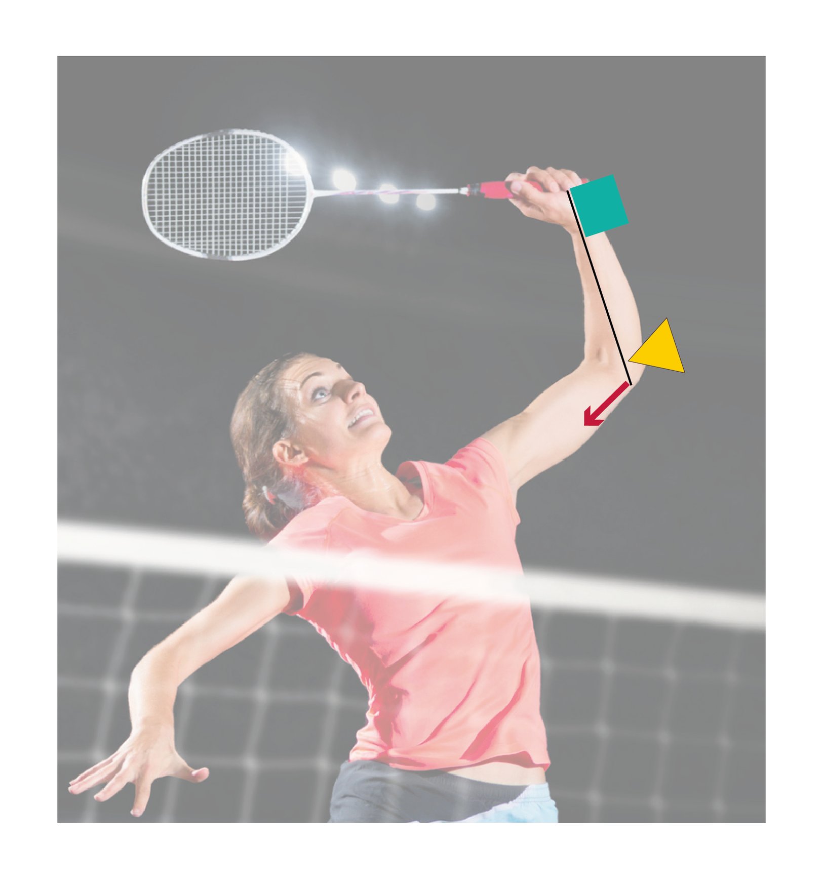 Ten most common misconceptions in PE theory teaching