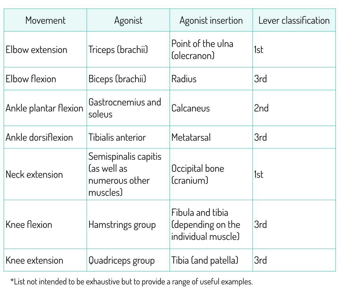Movement Analysis - It’s Time to Get This Right!!
