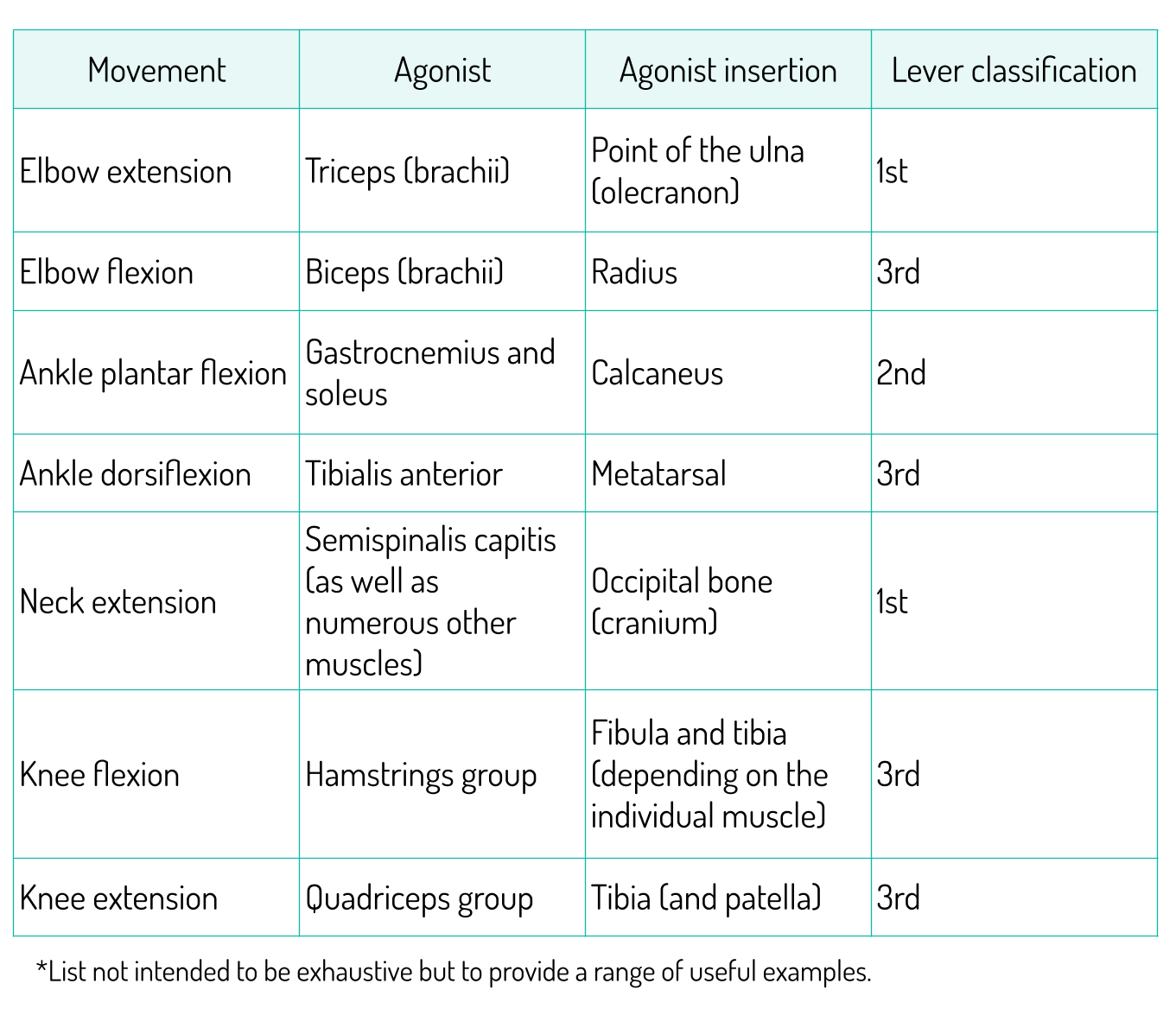 Movement Analysis - It’s Time to Get This Right!!